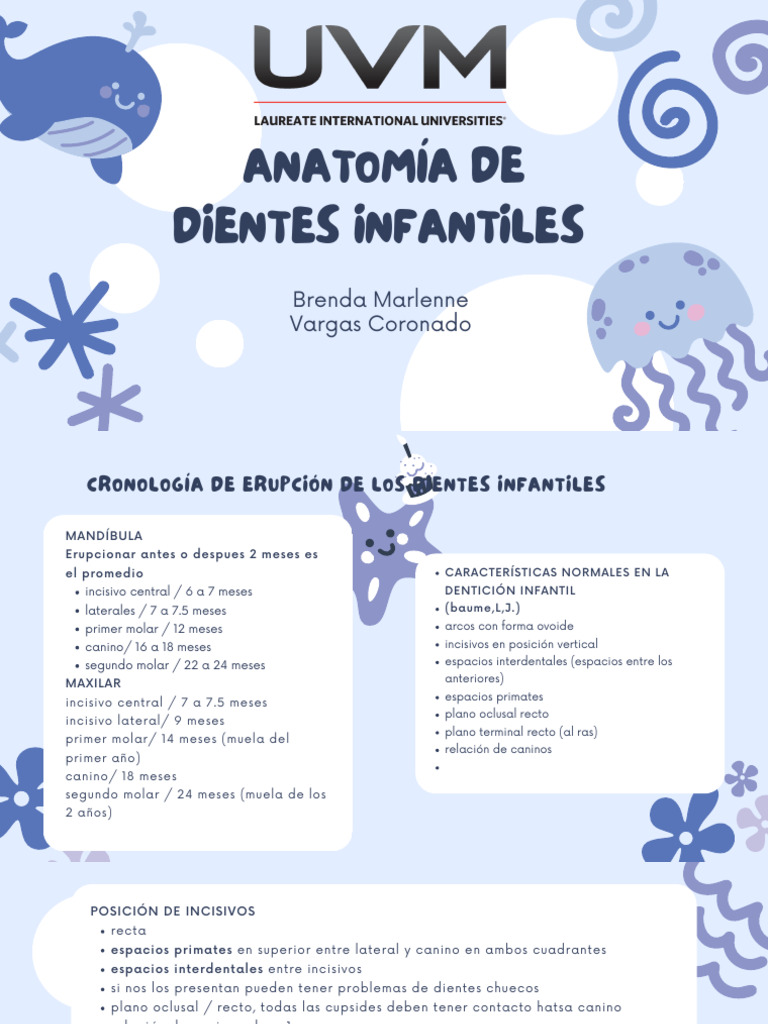 Anatomia de Dientes Infantiles | PDF | Diente | Anatomía humana