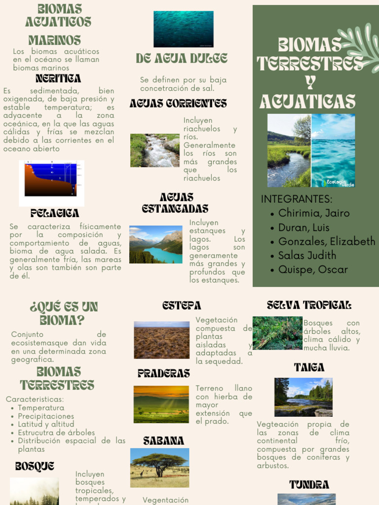 Cuadro Comparativo De Biomas Terrestres Y Acuáticos. – OFNW