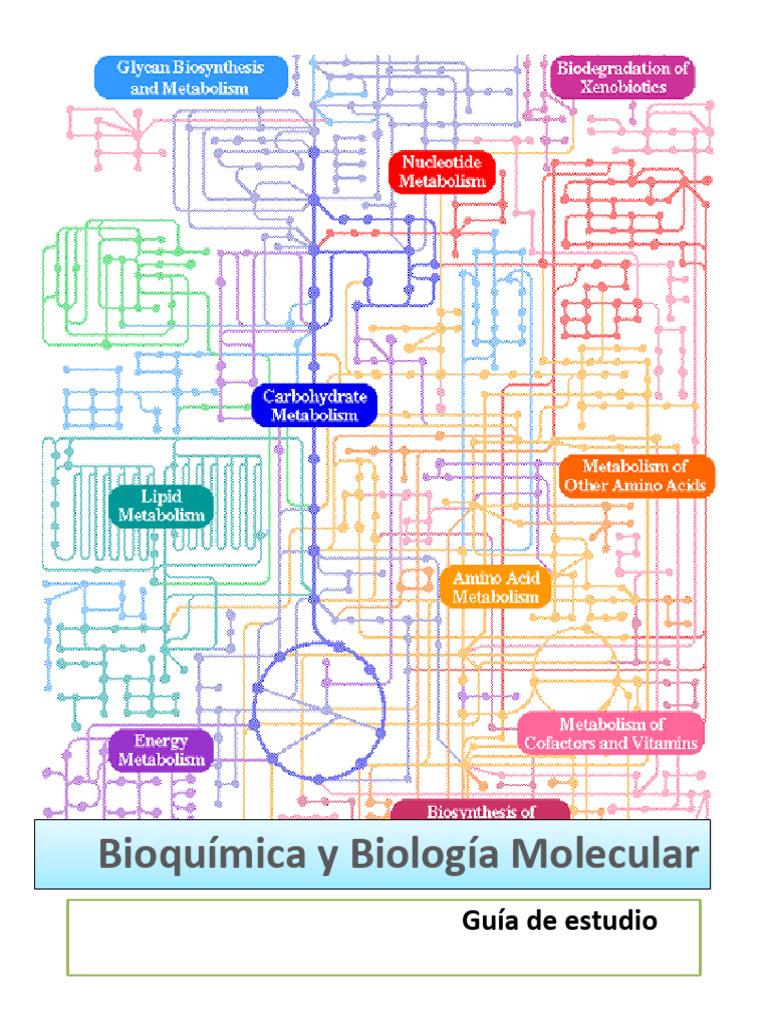 Guía de Estudio Bioquímica Completa | PDF | Dieta y nutrición | Química