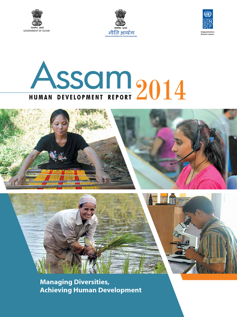 Final Assam HDR 2014 | PDF | Workforce | Quality Of Life
