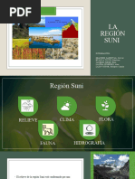 Resumen de La Región Suni | PDF