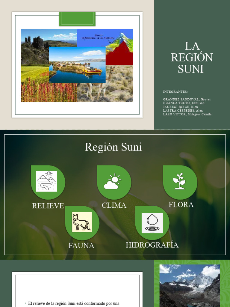 Region Suni 3 | PDF | Ciencias de la Tierra | Geografía Física