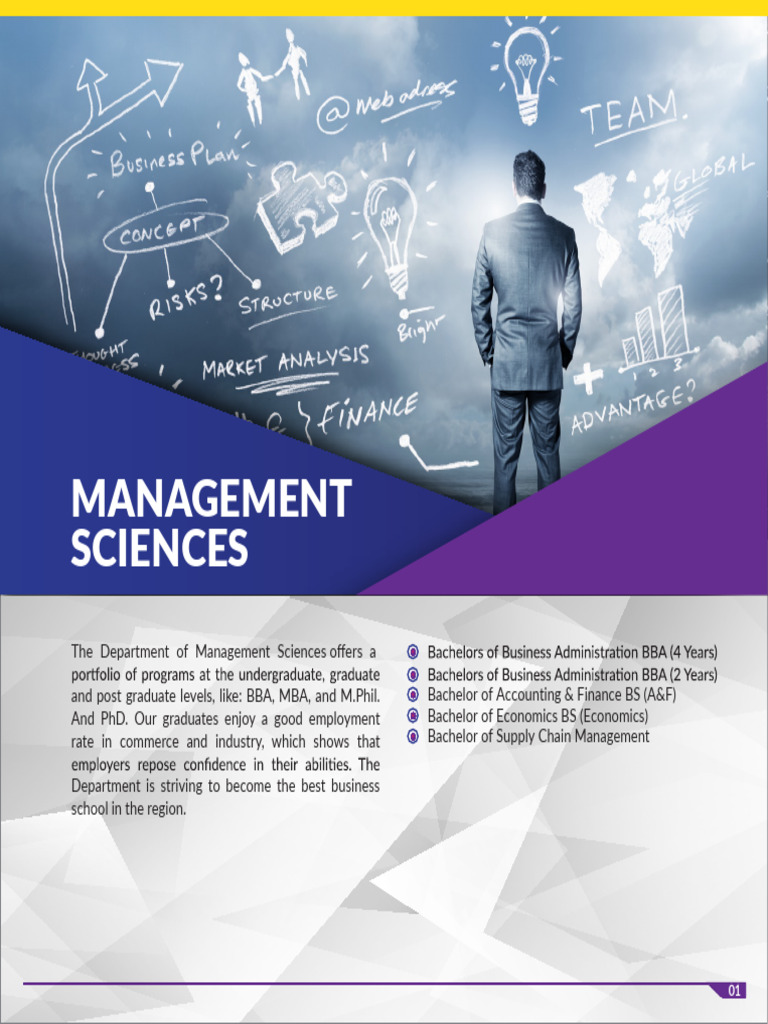 4 UG Management Sciences | PDF