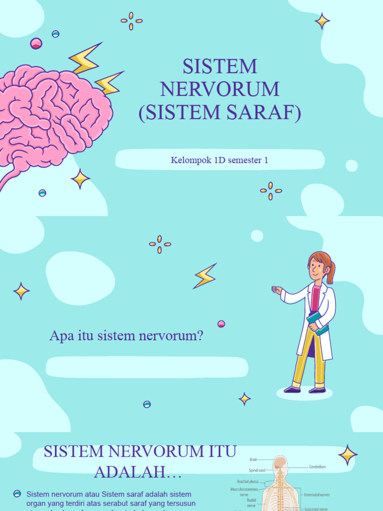 Kelompok - 1D - Sistem Nervorum | PDF