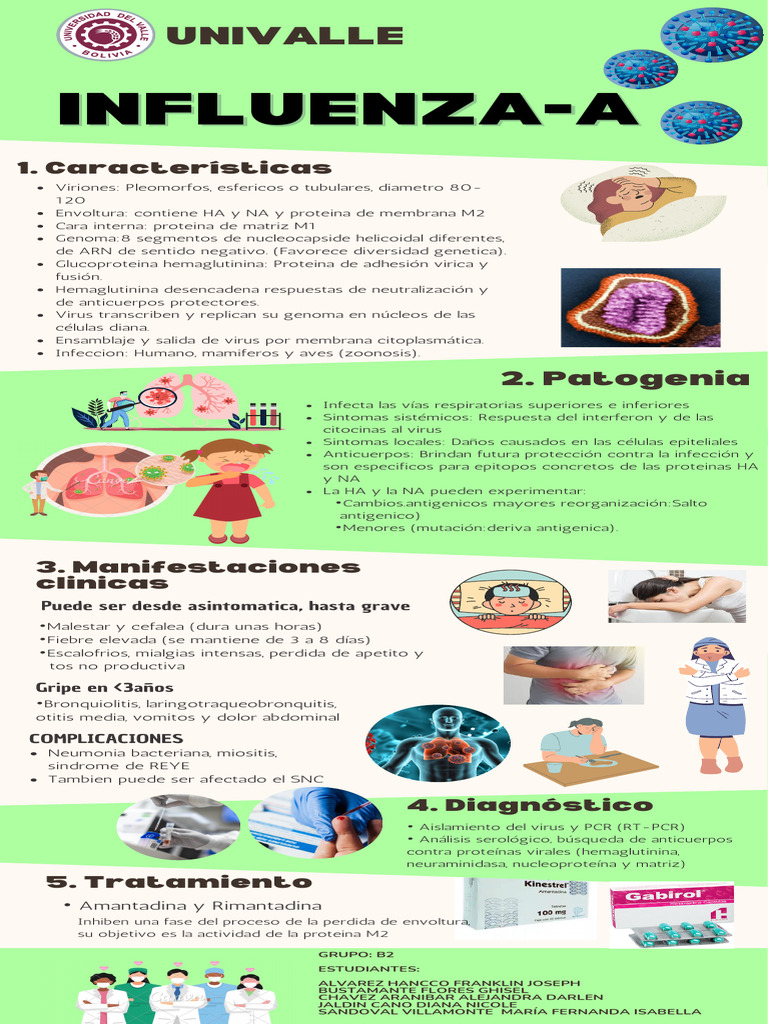 Infografia de Influenza | PDF | Virus | Biología