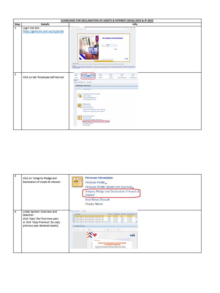 Guideline For Declaration of Assets 2023 EN BM | PDF