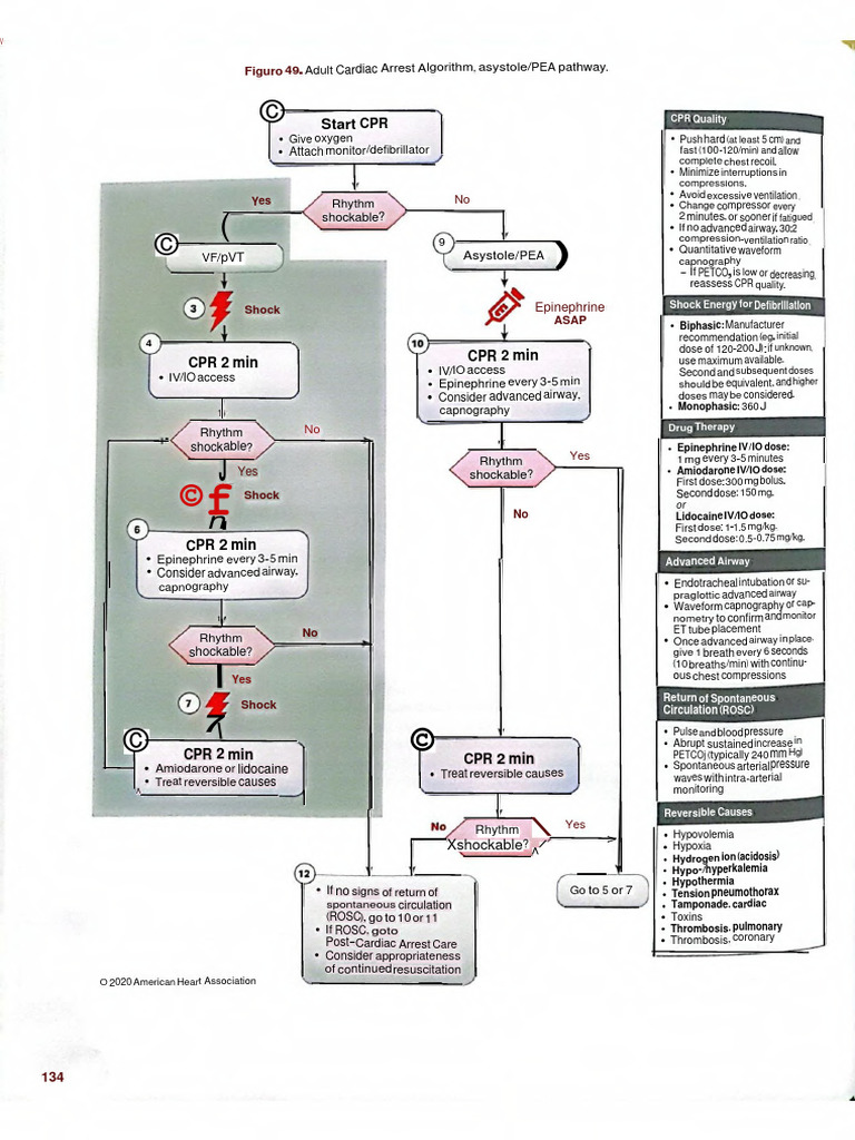 Adult Cardiac Arrest Algorithm Guide | PDF