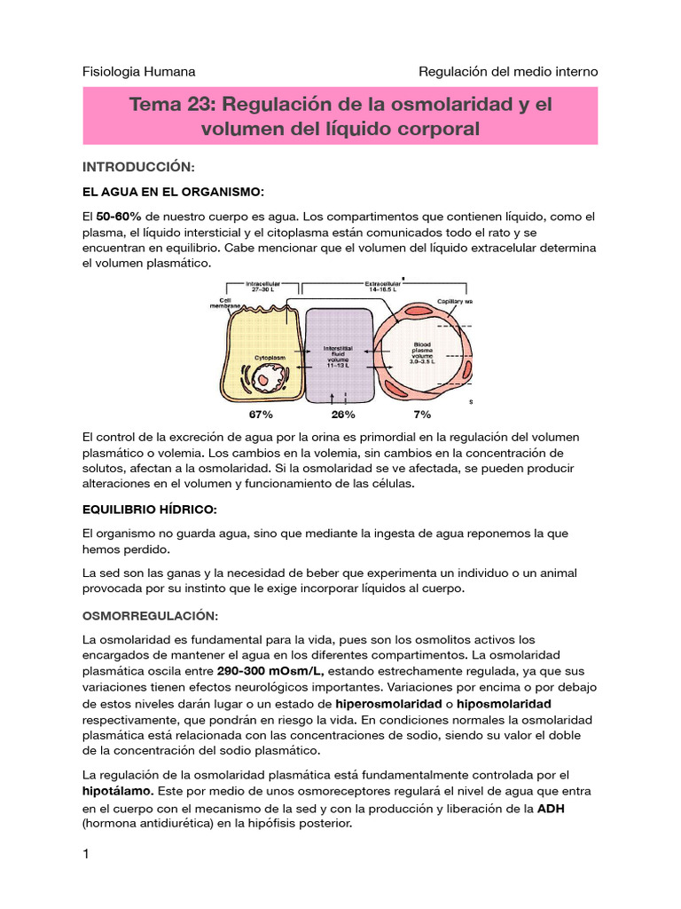 Tema 23 | PDF | Angiotensina | Sodio