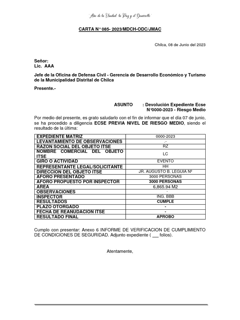 Carta - Informe de Expediente | PDF