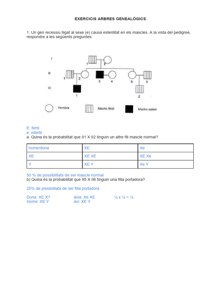 EXERCICIS ARBRES GENEALÒGICS - GRUPS SANGUINIS | PDF