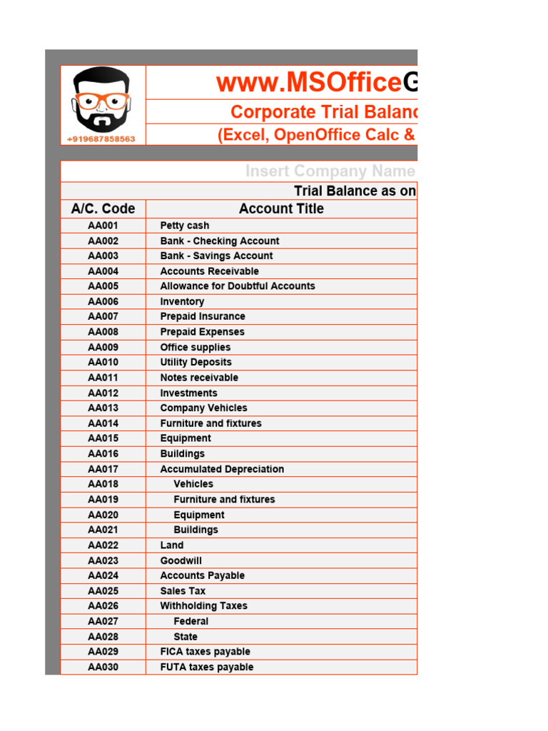Trial Balance Template | PDF | Debits And Credits | Expense