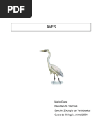 Tipos de picos en aves y adaptaciones | PDF