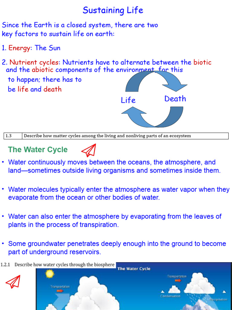1.2 Cycles of Matter (10 ASP) 3 | PDF
