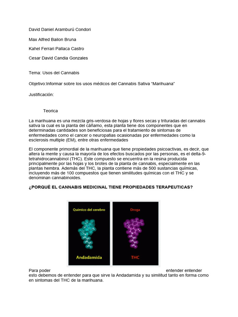 Proyecto Expresion Oral Canabis Pdf Cannabis Droga
