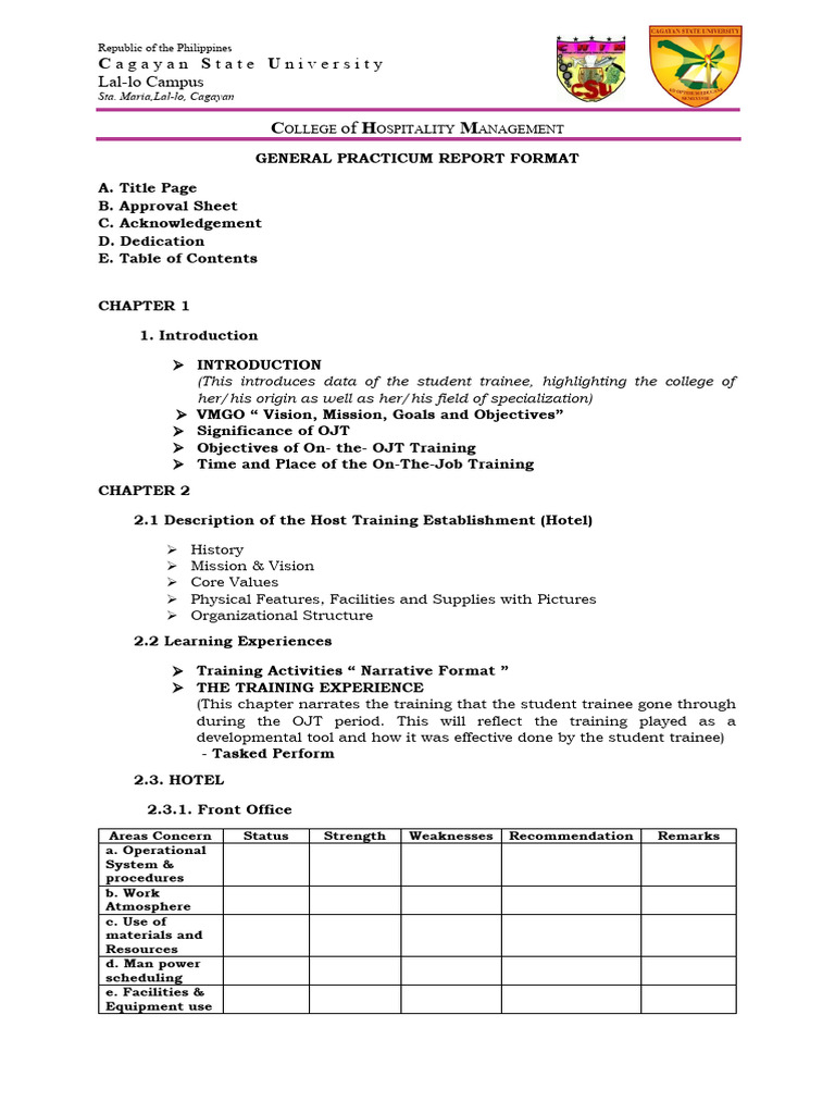 General Practicum Report Format 2023 | PDF