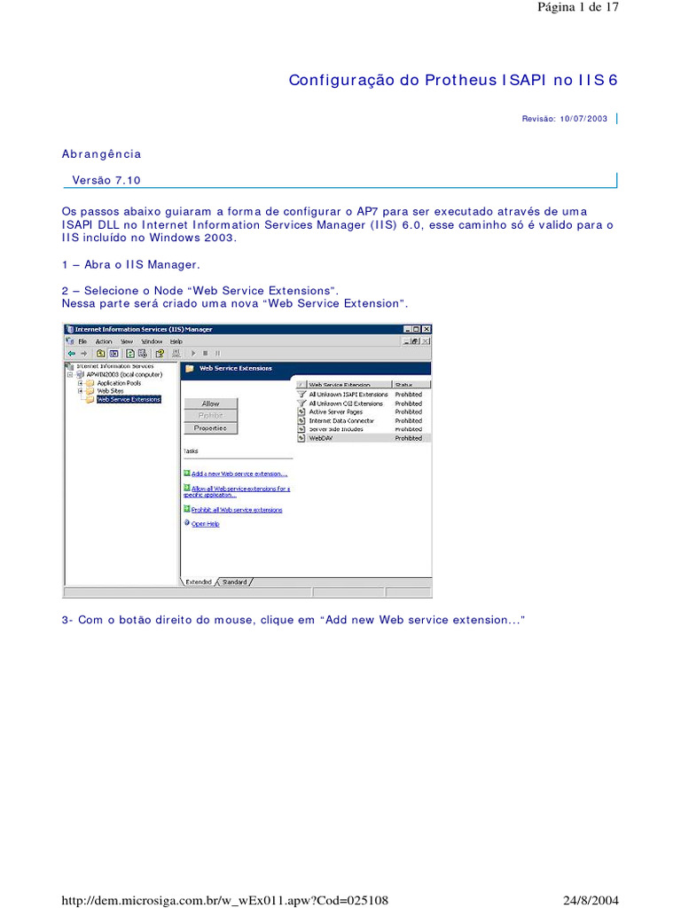 Configuração Do Protheus ISAPI No IIS 6 | PDF