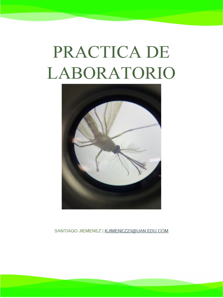 Practica de Laboratorio PDF | PDF
