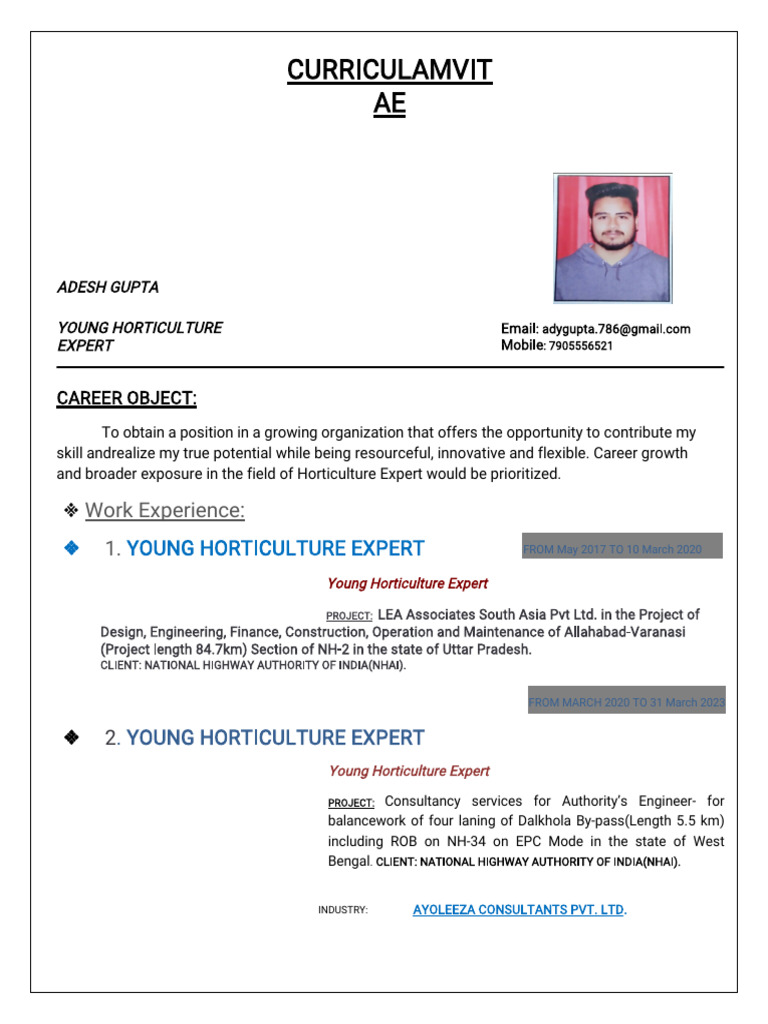 06 Adesh Gupta CV Format Update | PDF
