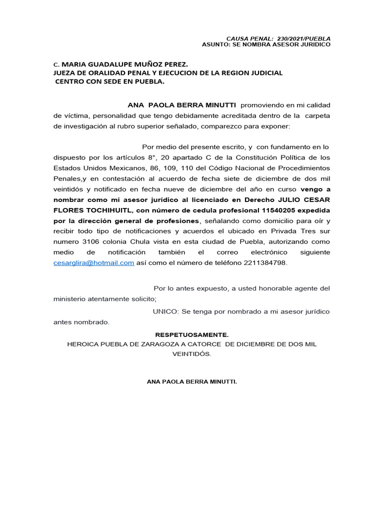 Escrito Nombramiento Ana Paola Berra Minutti | PDF