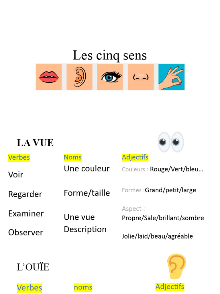 les 5 sens | PDF