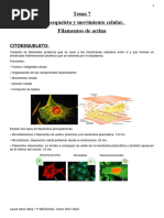 Ejemplos de Movimiento Ameboide | PDF | Músculo esquelético | Biología ...
