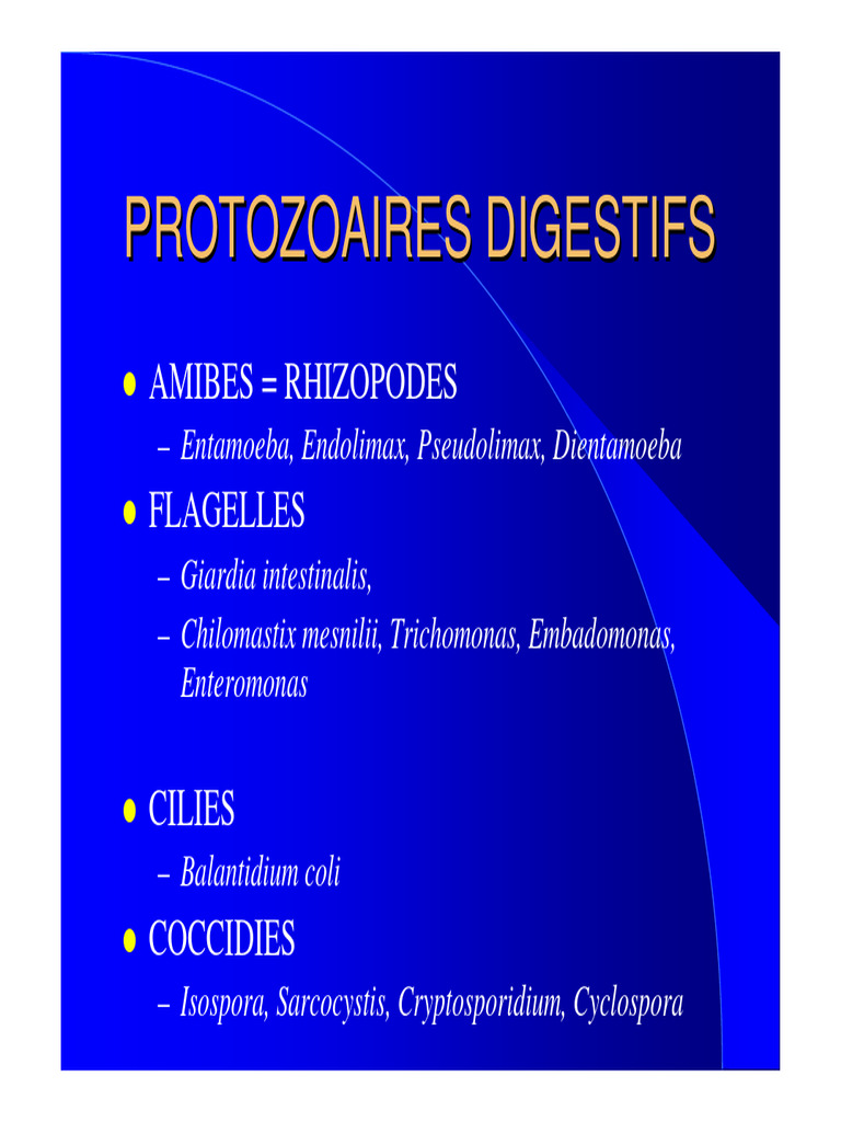 Amibiase | PDF