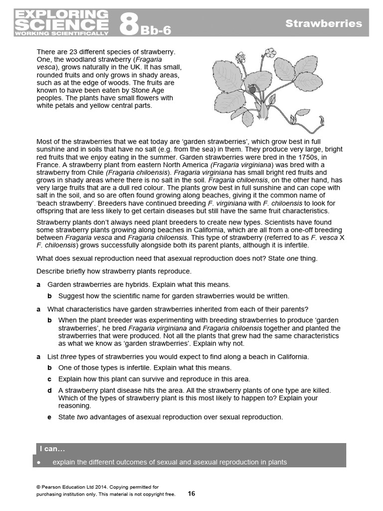 8bb6 Strawberries | PDF | Strawberry | Reproduction