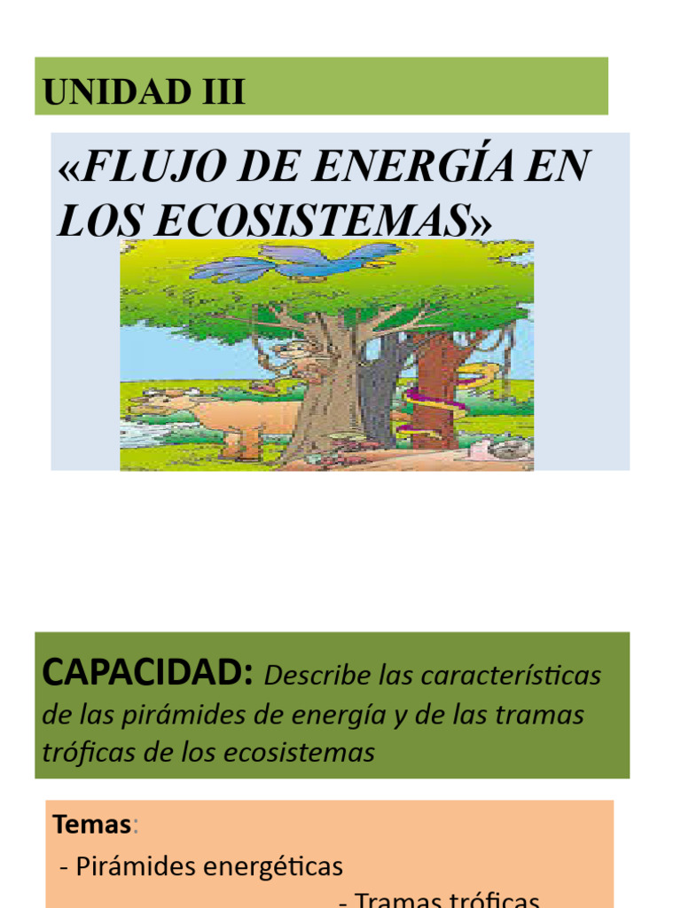 Energía y Tramas Tróficas en Ecosistemas | PDF | Red alimentaria | Biología