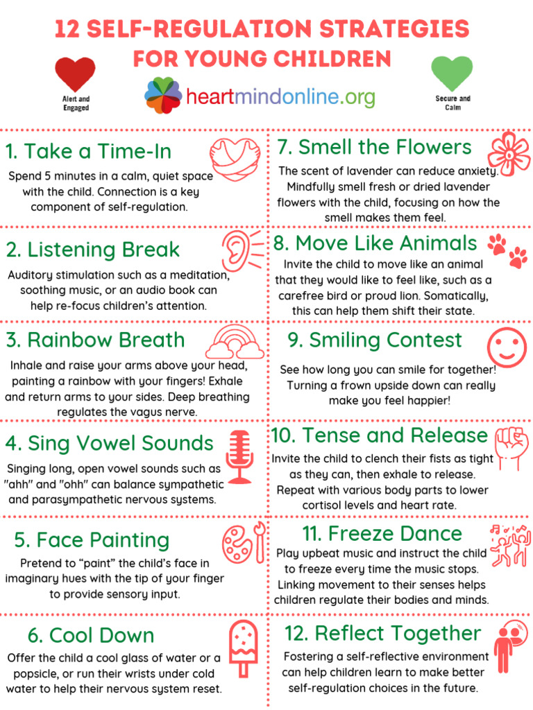 12 Self-Regulation Strategies For Young Children Infographic | PDF ...