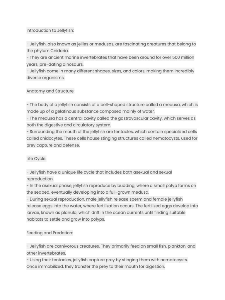 Jellyfish Notes | PDF
