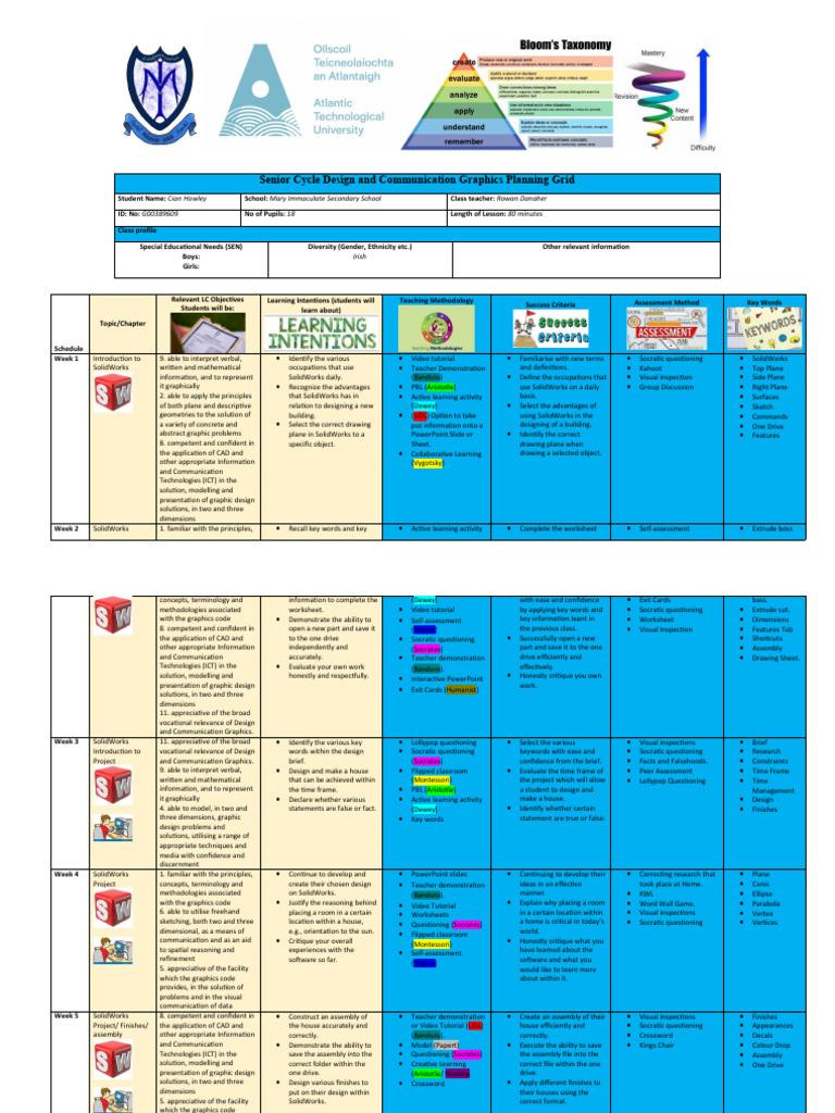 Real Planning Grid Transition Year DCG | PDF