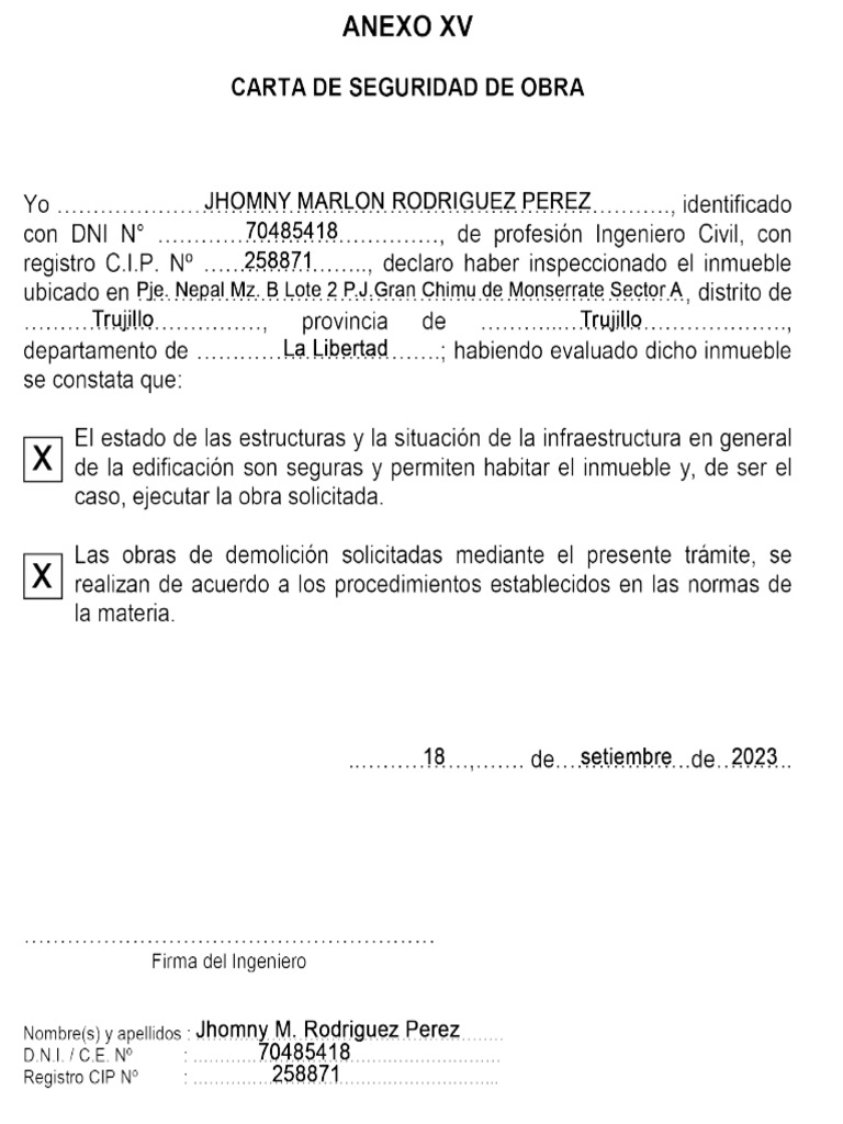 Anexo XV - Carta de Seguridad de Obra | PDF