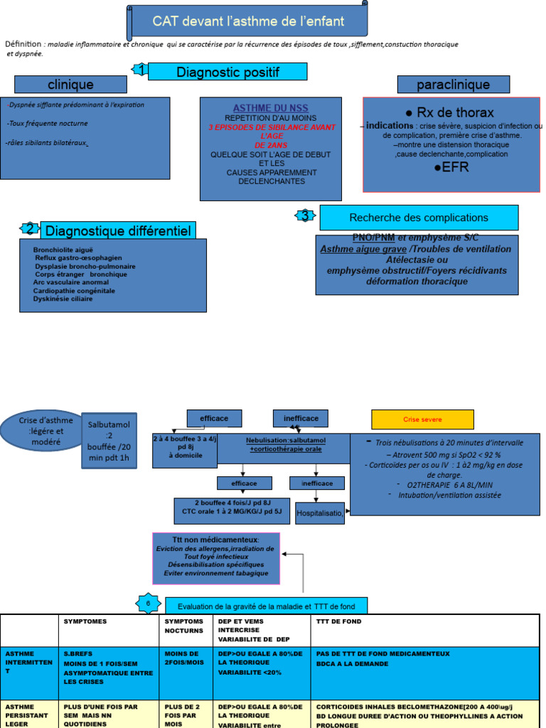 CAT Devant Une Crise D'asthme | PDF | Asthme | Santé publique