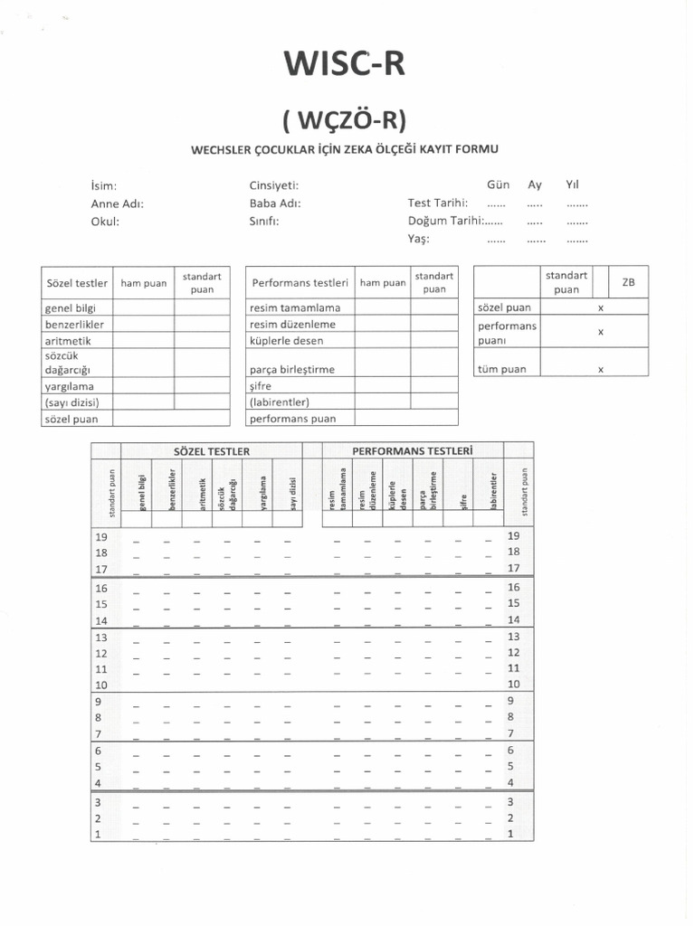 WISCR Kayit Formu | PDF