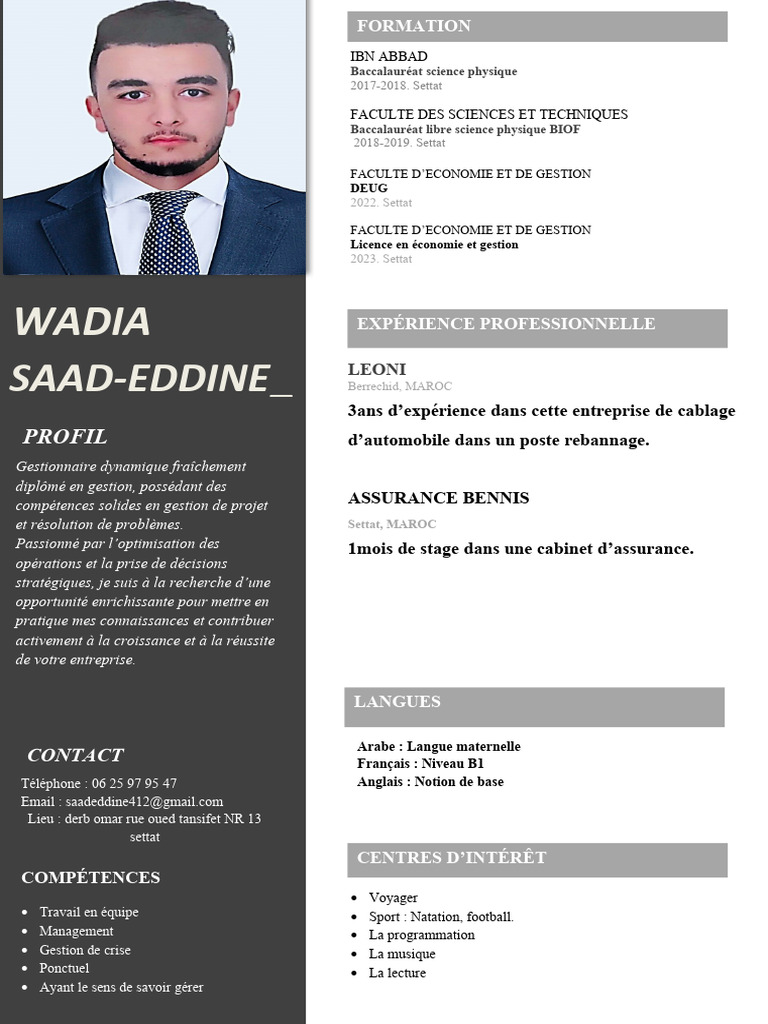 CV wadia saad-eddine | PDF