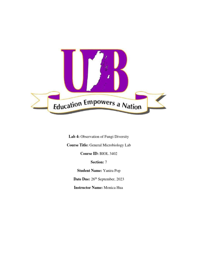 Drawing Sheet Template Example (Repaired) | PDF