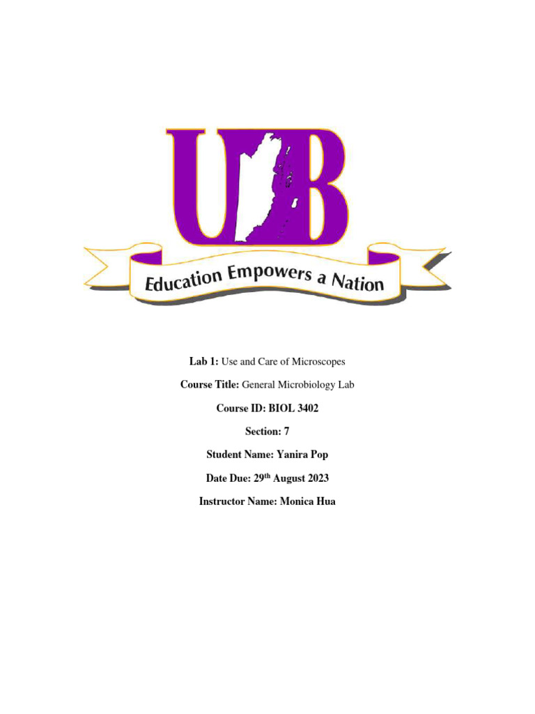 Lab Report For Lab 1 Template Pdf 