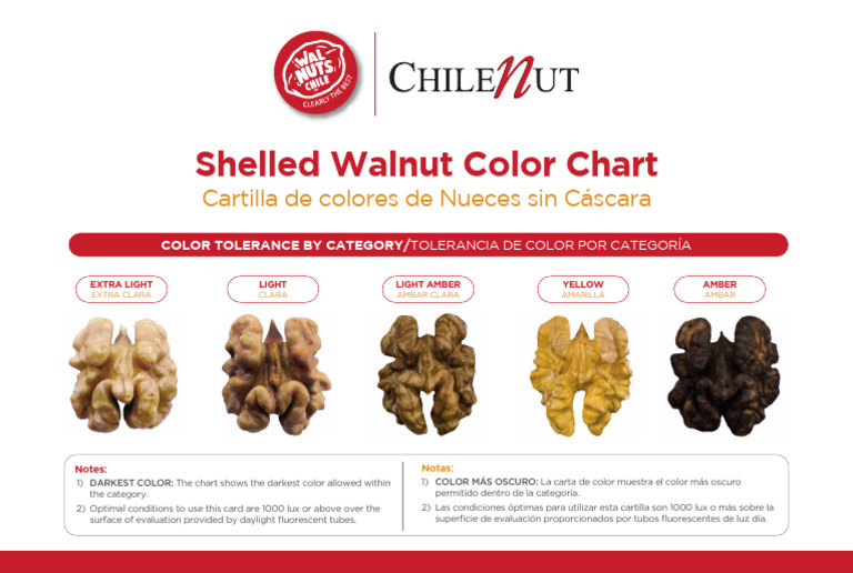 Walnut Color Chart Chilenut 210324 | PDF