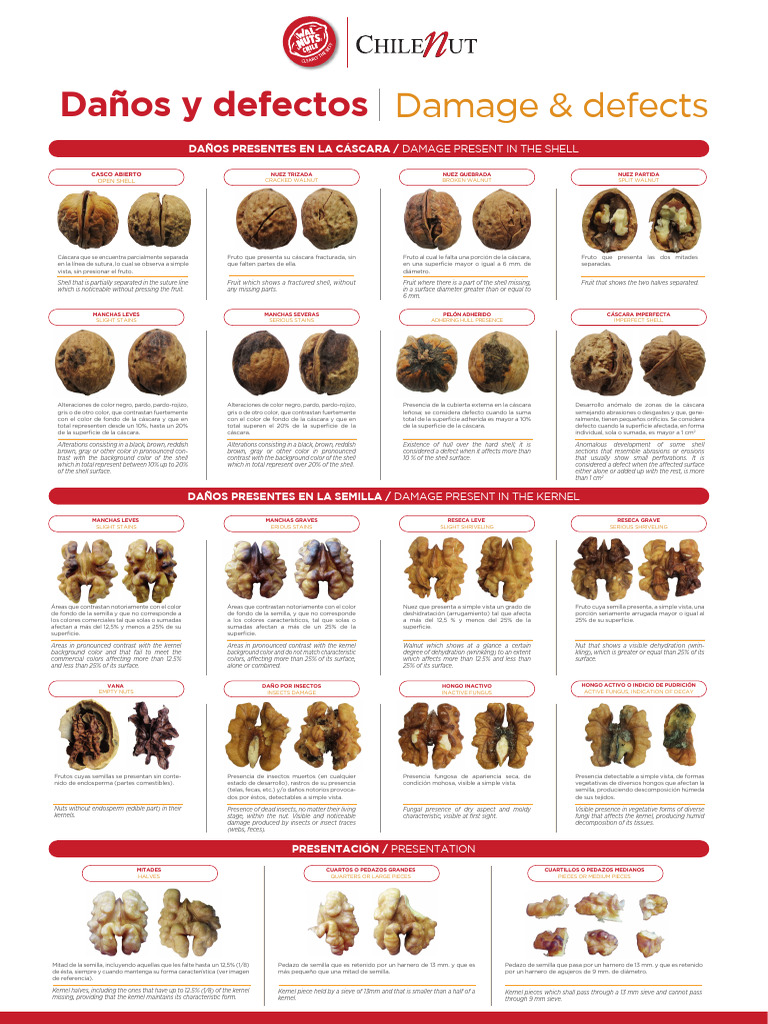 Walnut Defects Damage - Chilenut | PDF