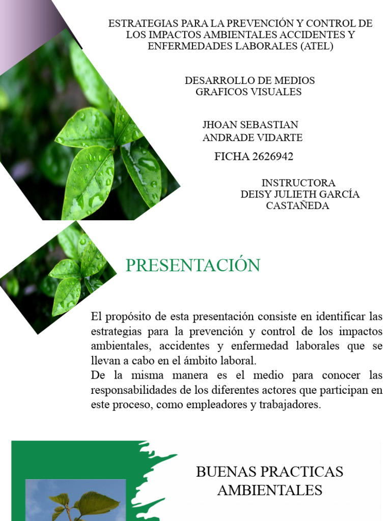 Presentación Sobre Las Estrategias para La Prevención y Control de Los Impactos Ambientales J ...