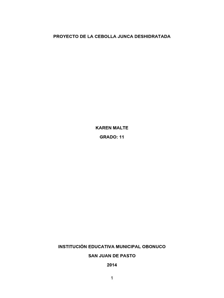 CEBOLLA JUNCA FINAL 11 Profe Juan Carlos Estrada | PDF | Negocios