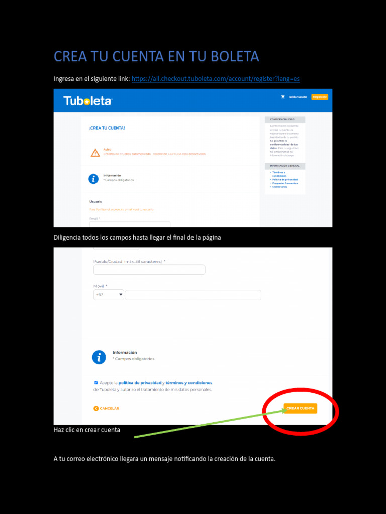 Paso A Paso Registro Tuboleta | PDF