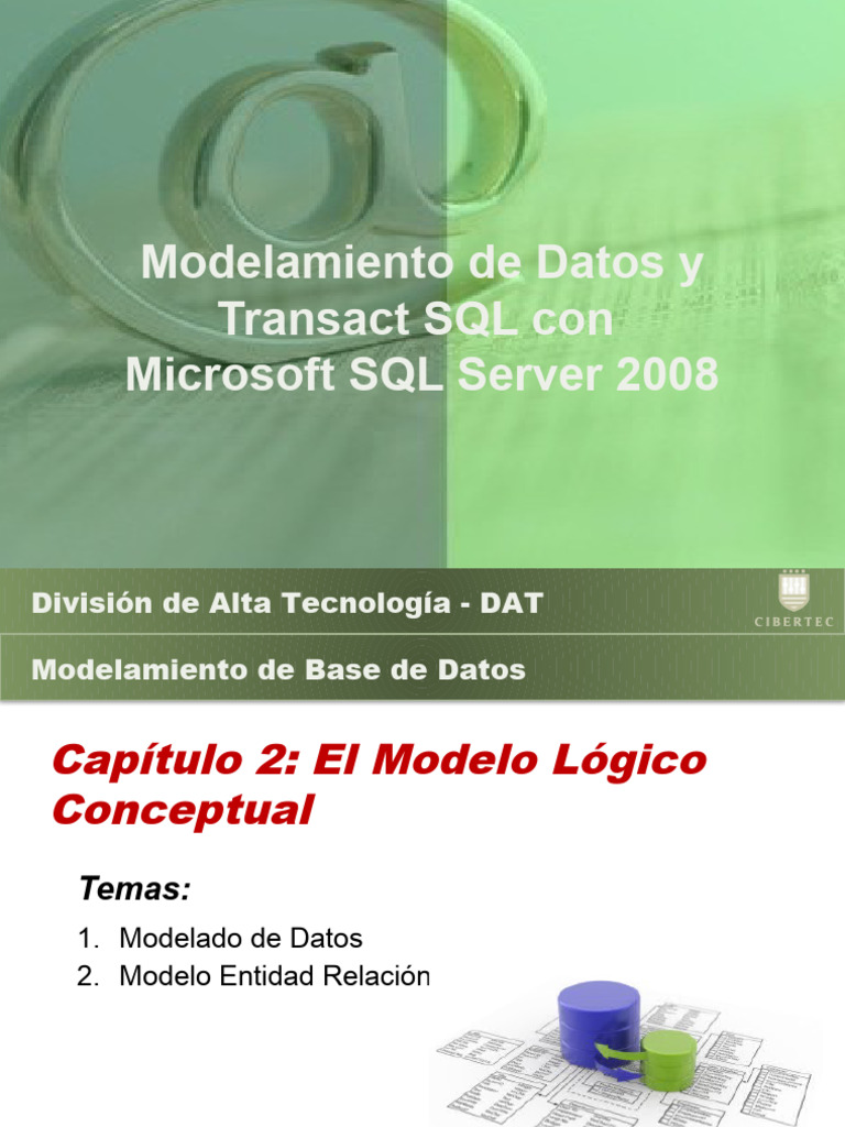 Capitulo 2 - El Modelo Lógico Conceptual | PDF
