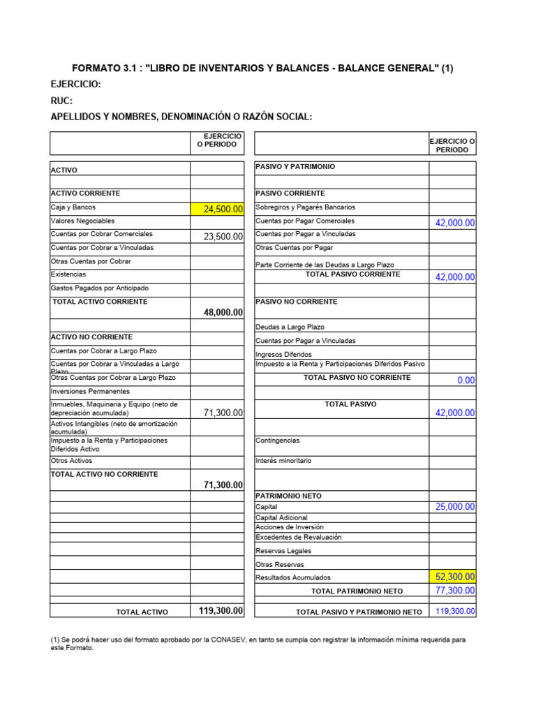 15 Formatos Contables Desarrollado A2 | PDF