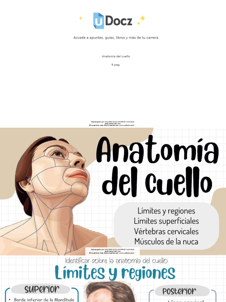 Anatomía del Cuello y sus Músculos | PDF