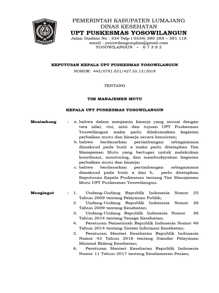 SK Tim Manajemen Mutu 2019 Rev 2 | PDF