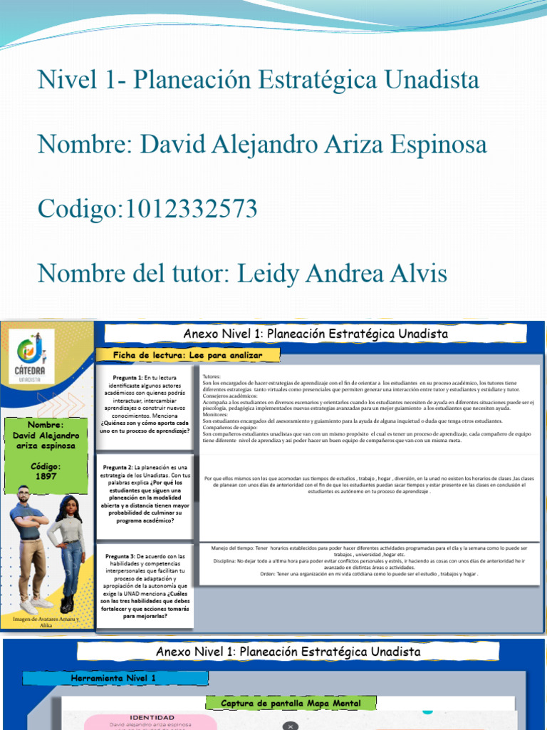 Planeacion Estrategicas Unadista Nivel 1 - DAVID ALEJANDRO ARIZA ESPINOSA. | PDF