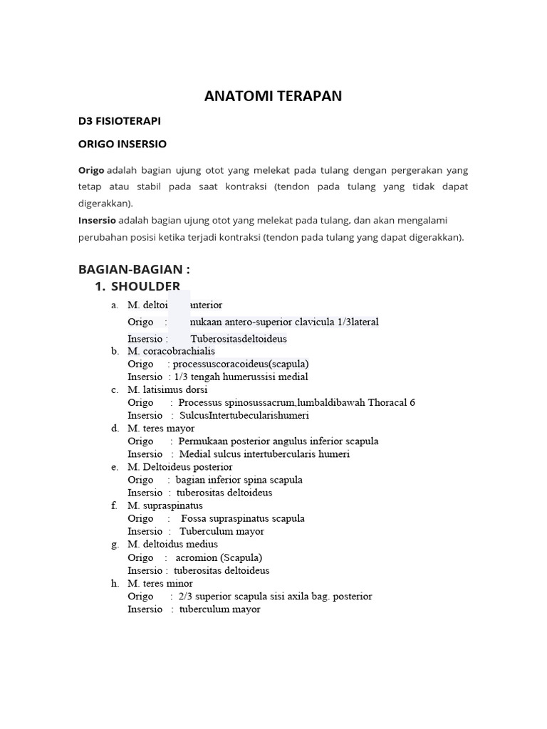 Tugas Anatomi Terapan | PDF | Kajian Bahasa Asing