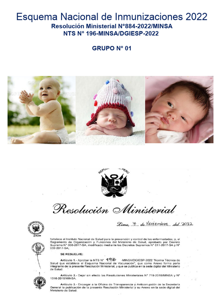 Nts°196 Minsa Dgiesp 2022 | PDF