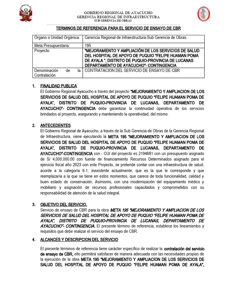 TDR Servicio de CBR 2709 | PDF | Hospital | Laboratorios
